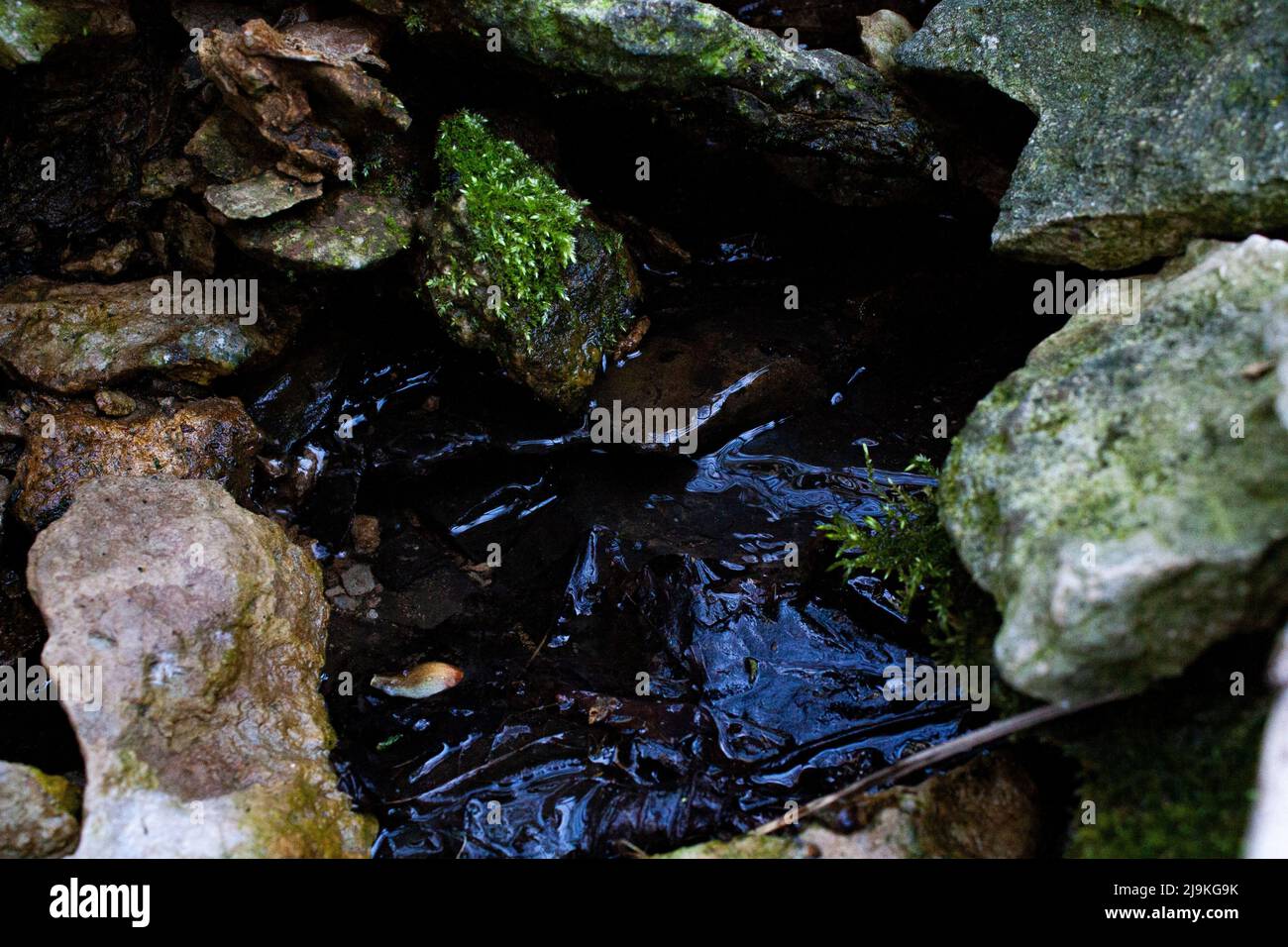 Natural spring water flow hi-res stock photography and images - Alamy