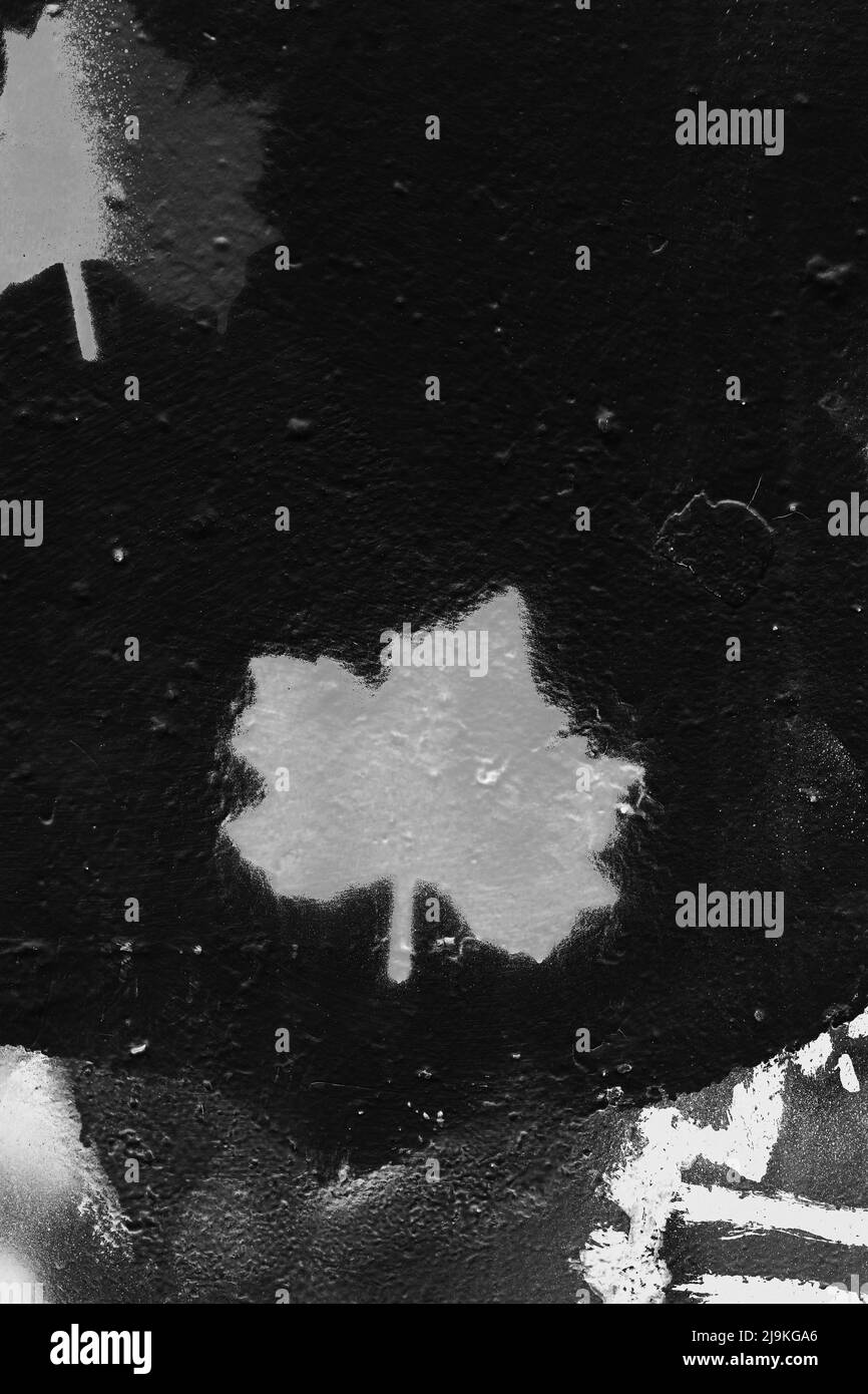 Beautiful hand painted nature art in black and white Stock Photo - Alamy