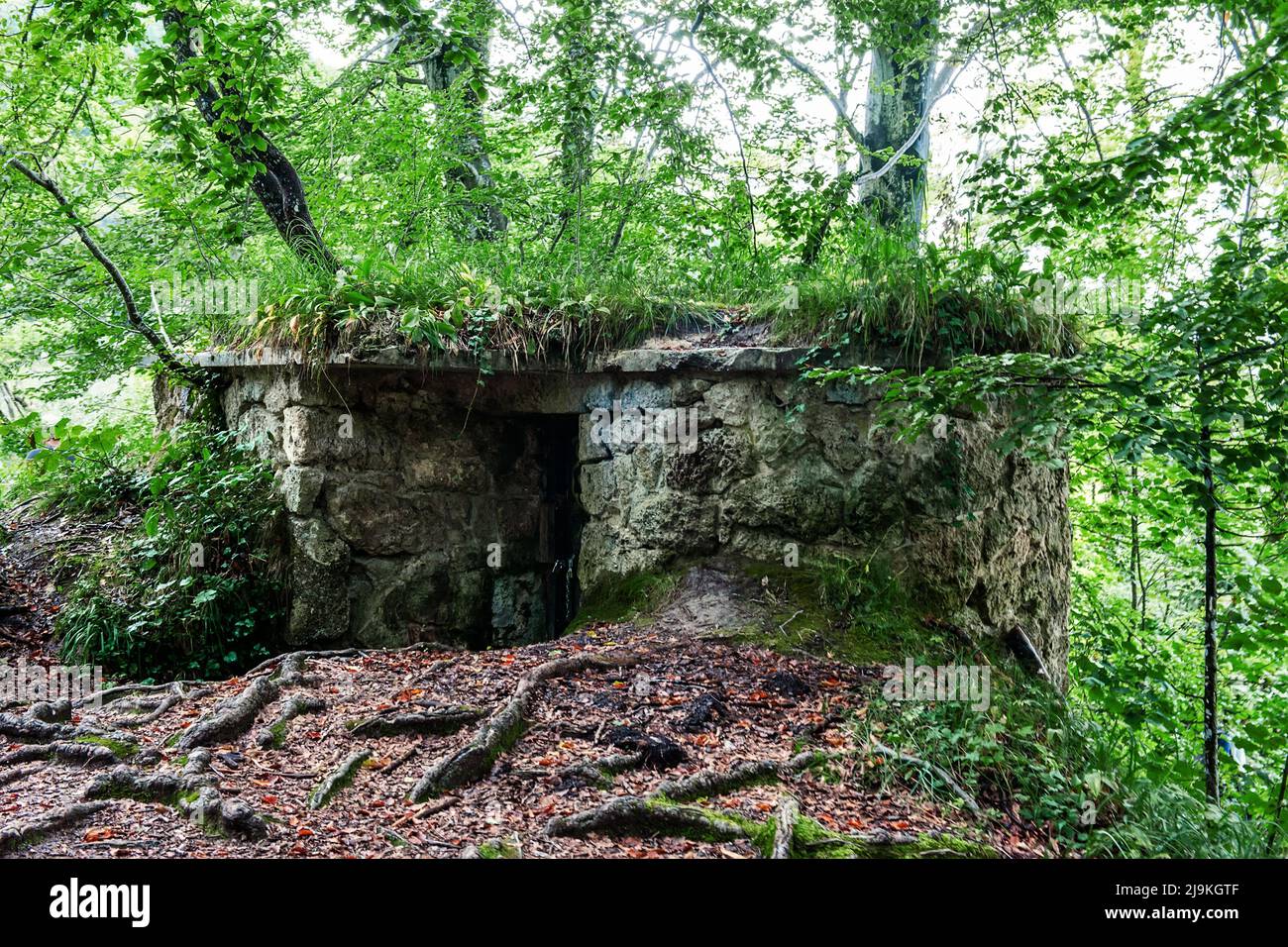 cave of the druids. Dolmen in the forest. A residential structure made ...