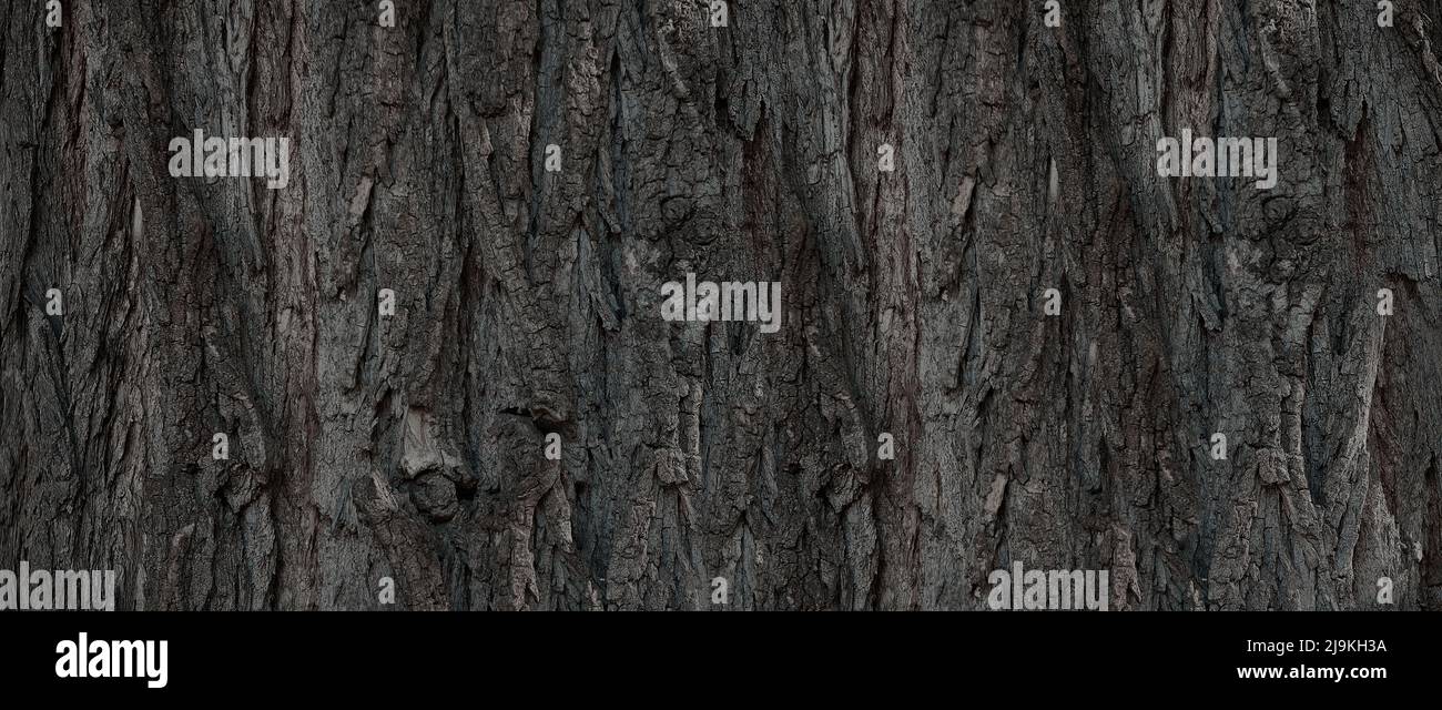dark coarse wooden bark pattern for background Stock Photo - Alamy