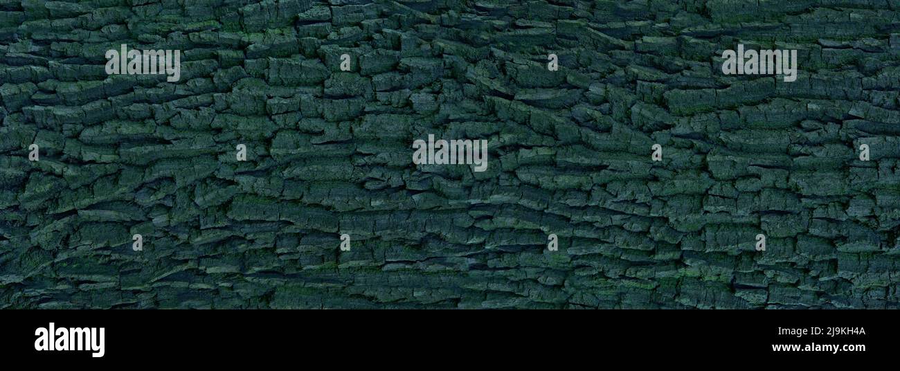 Bark pattern hi-res stock photography and images - Alamy
