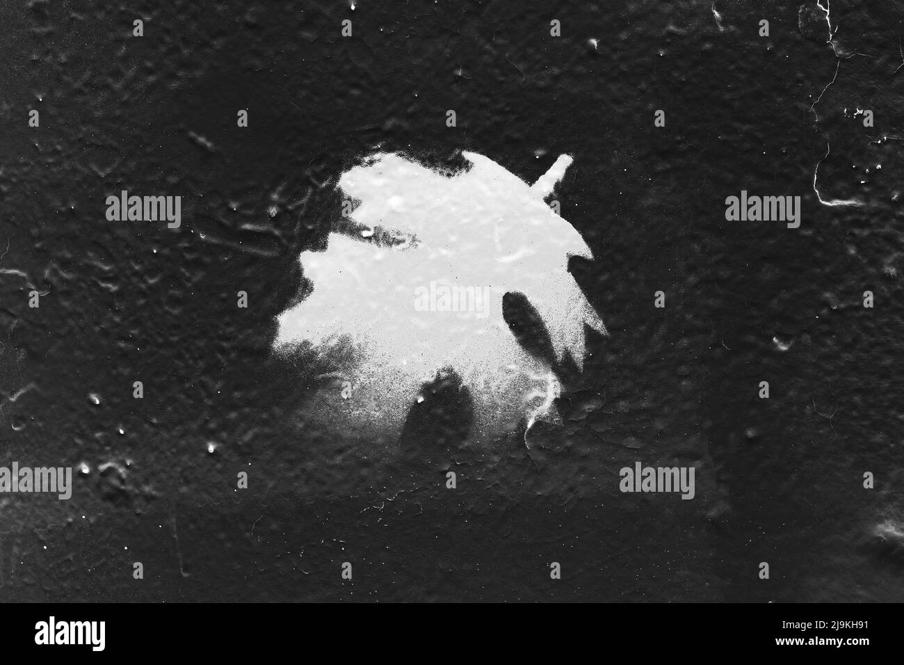 Beautiful hand painted nature art in black and white Stock Photo - Alamy