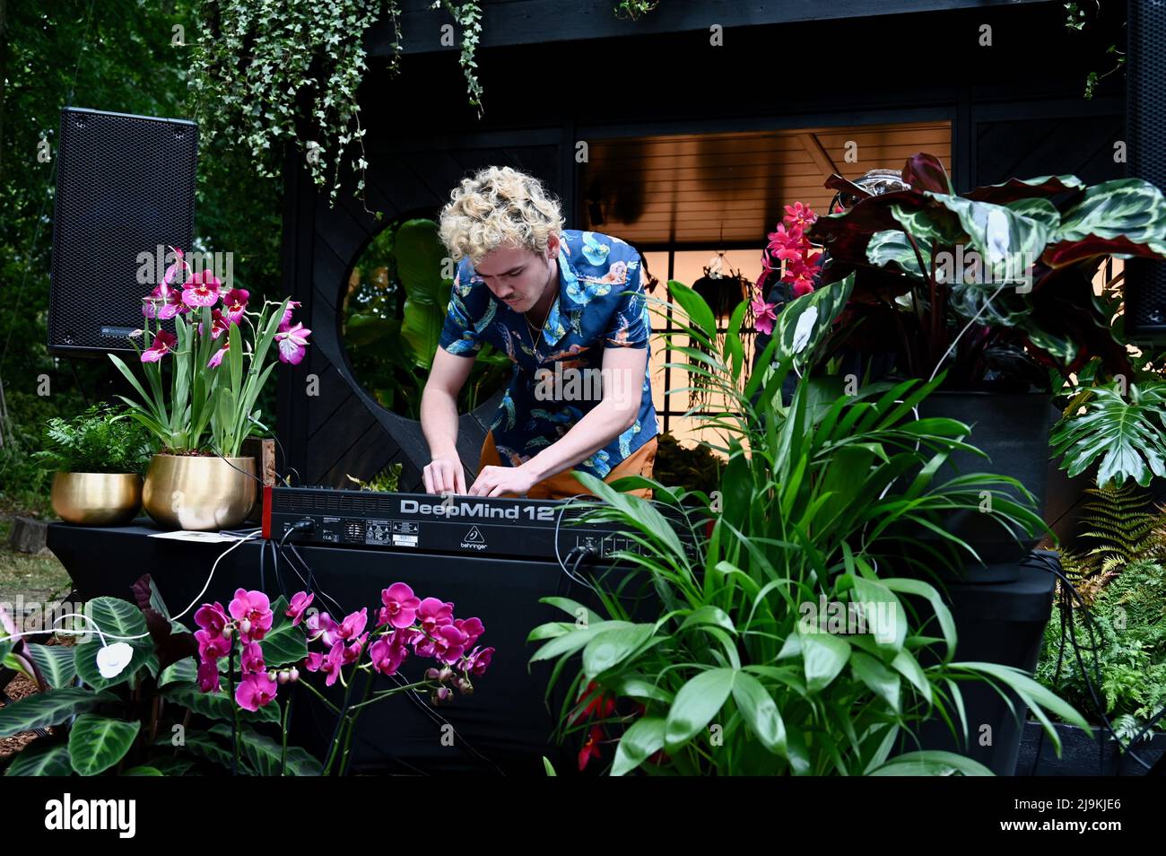 Rhs chelsea flower show bbc hi-res stock photography and images - Alamy