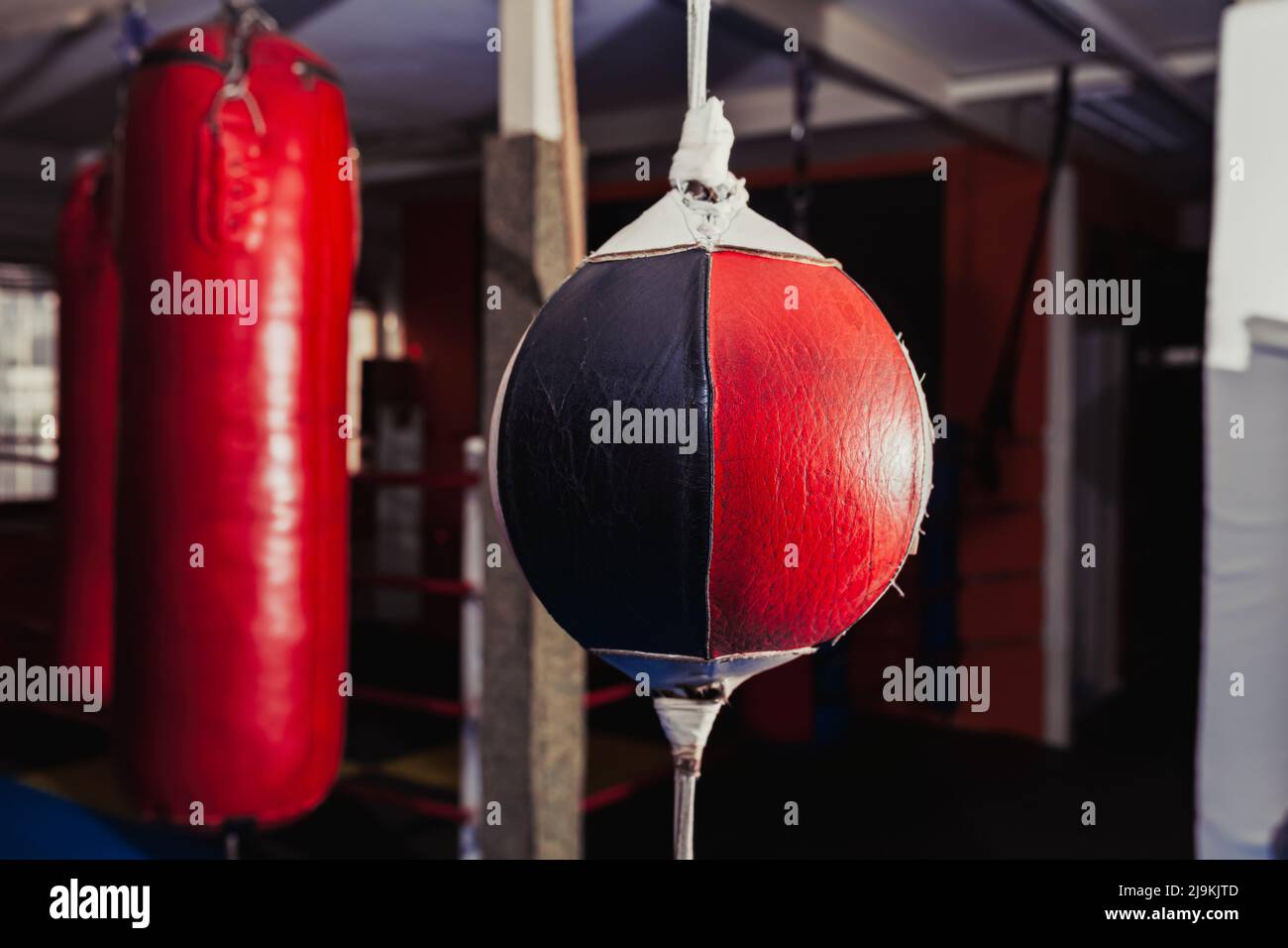 Punching and speed bags in boxing gym hanging, red and black, no people ...