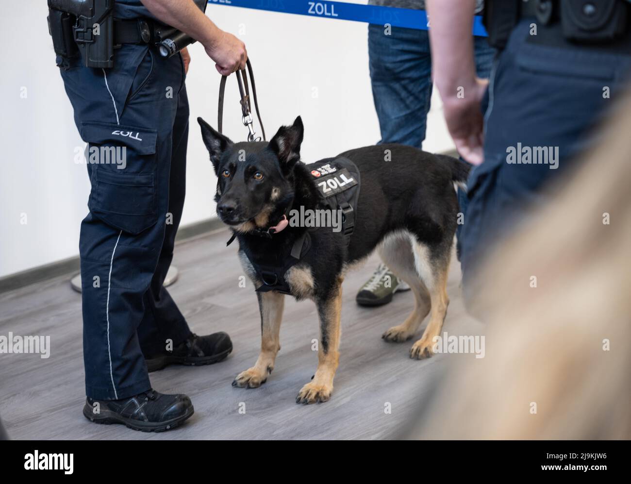 Cologne, Germany. 24th May, 2022. Customs sniffer dog Skadi during a ...