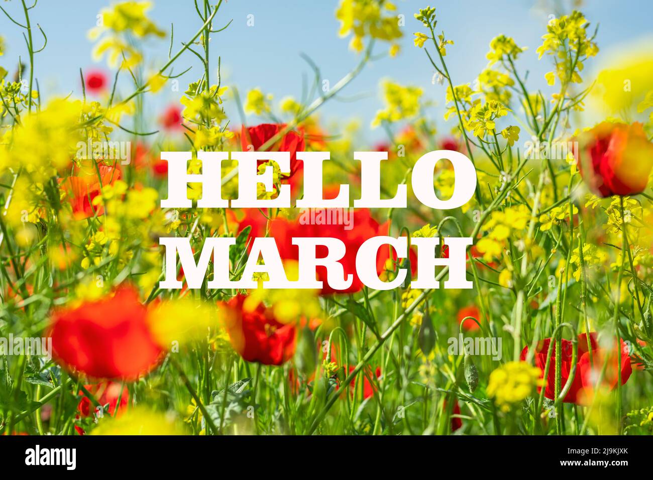 Hello march hi-res stock photography and images - Alamy
