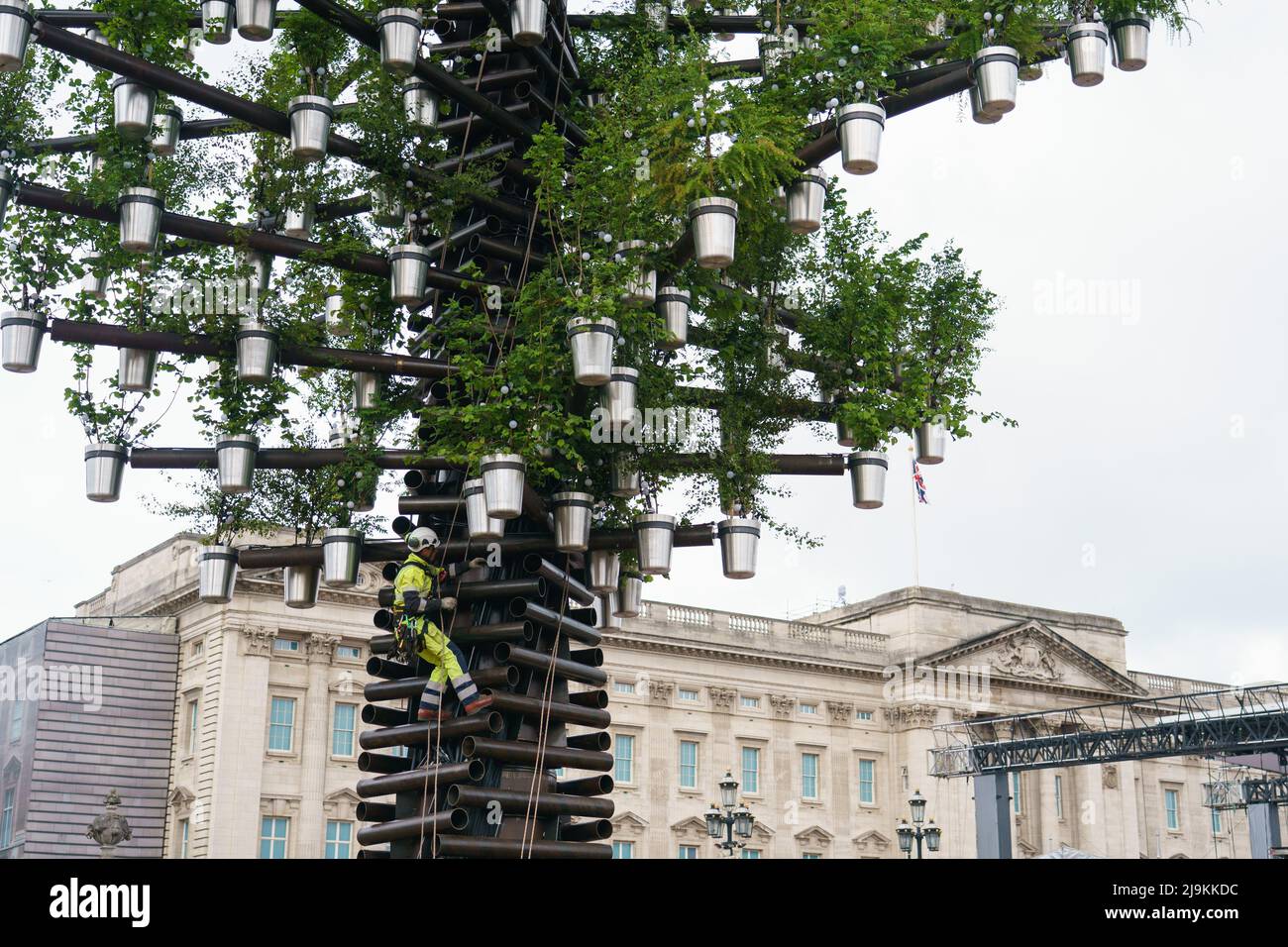 A construction worker climbs the Queen's Green Canopy (QGC) Tree of ...