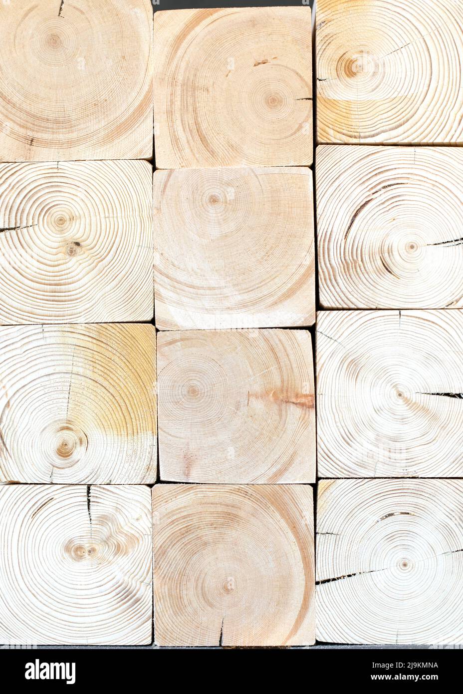 cross-section of tree trunk or end of log, macrophotography as natural ...