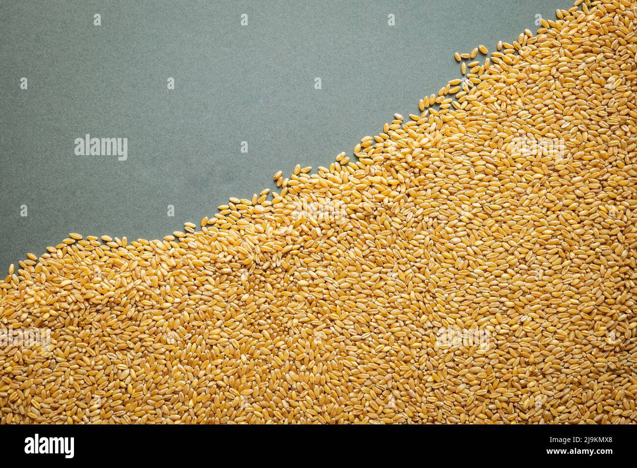 wheat grain texture background flat overhead view Stock Photo - Alamy