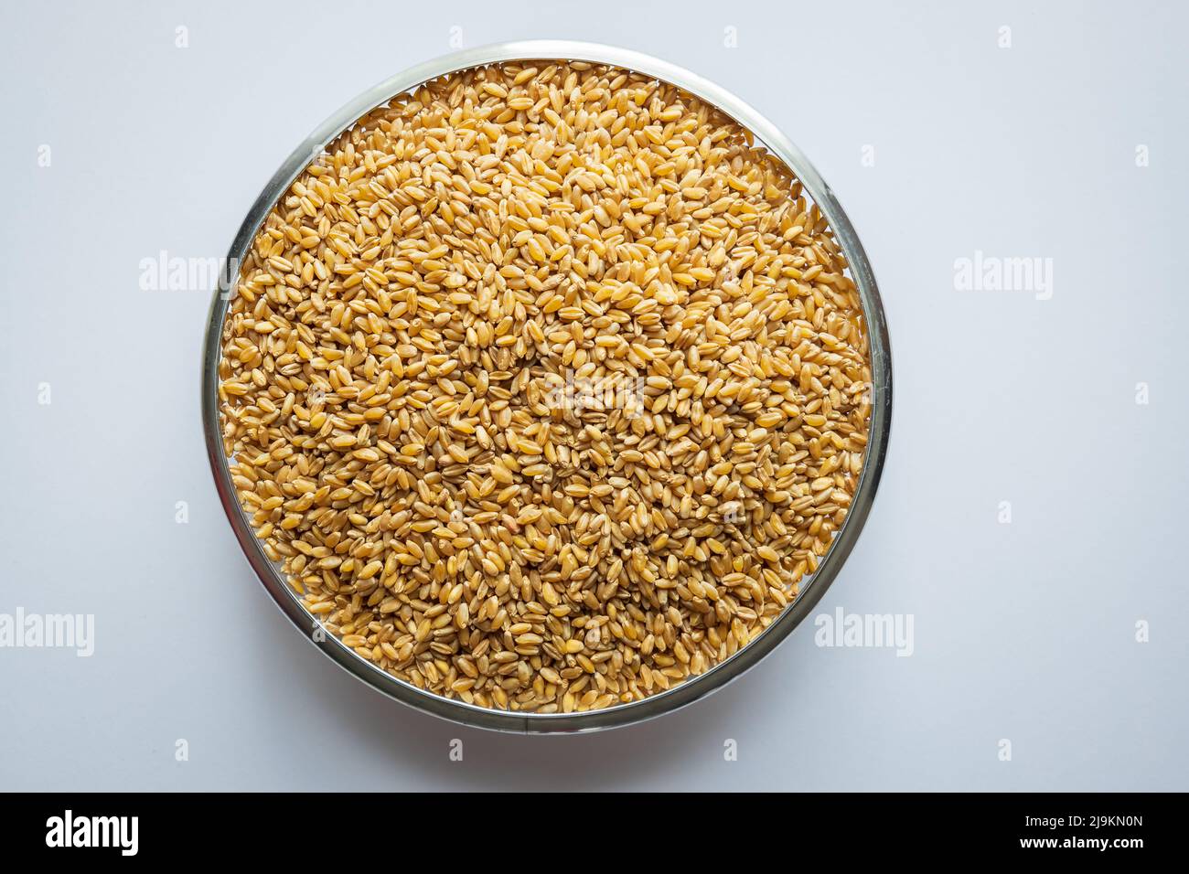 wheat grain circular container on white background overhead Stock Photo ...