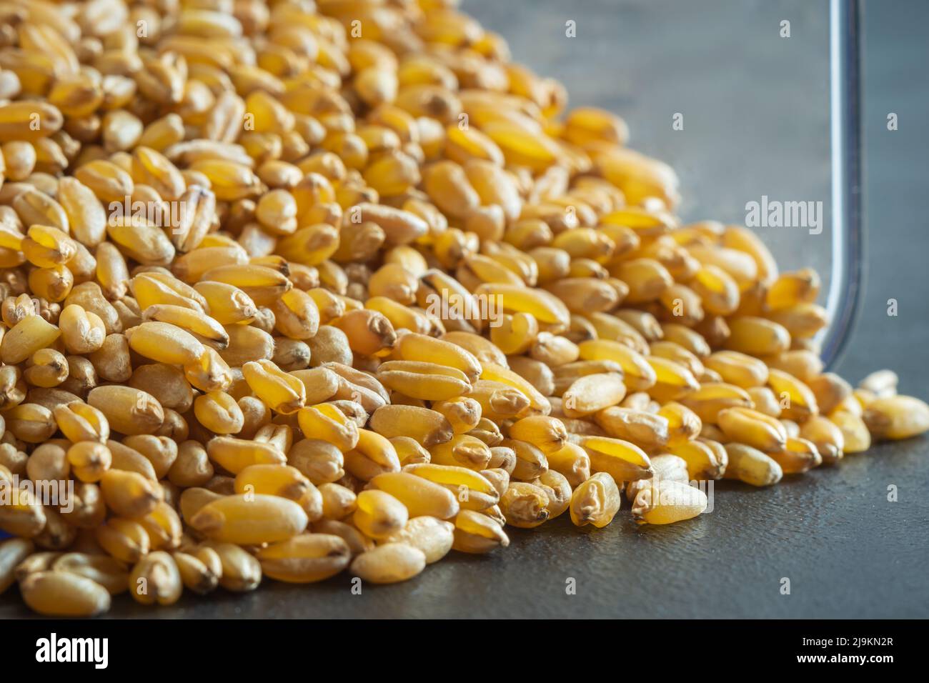 wheat grain texture background closeup Stock Photo - Alamy