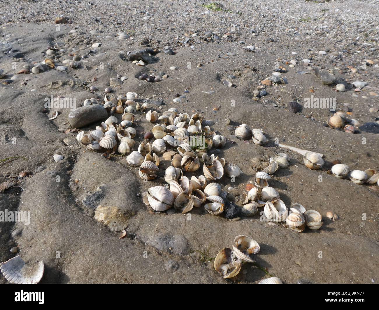 Meer muster hi-res stock photography and images - Alamy