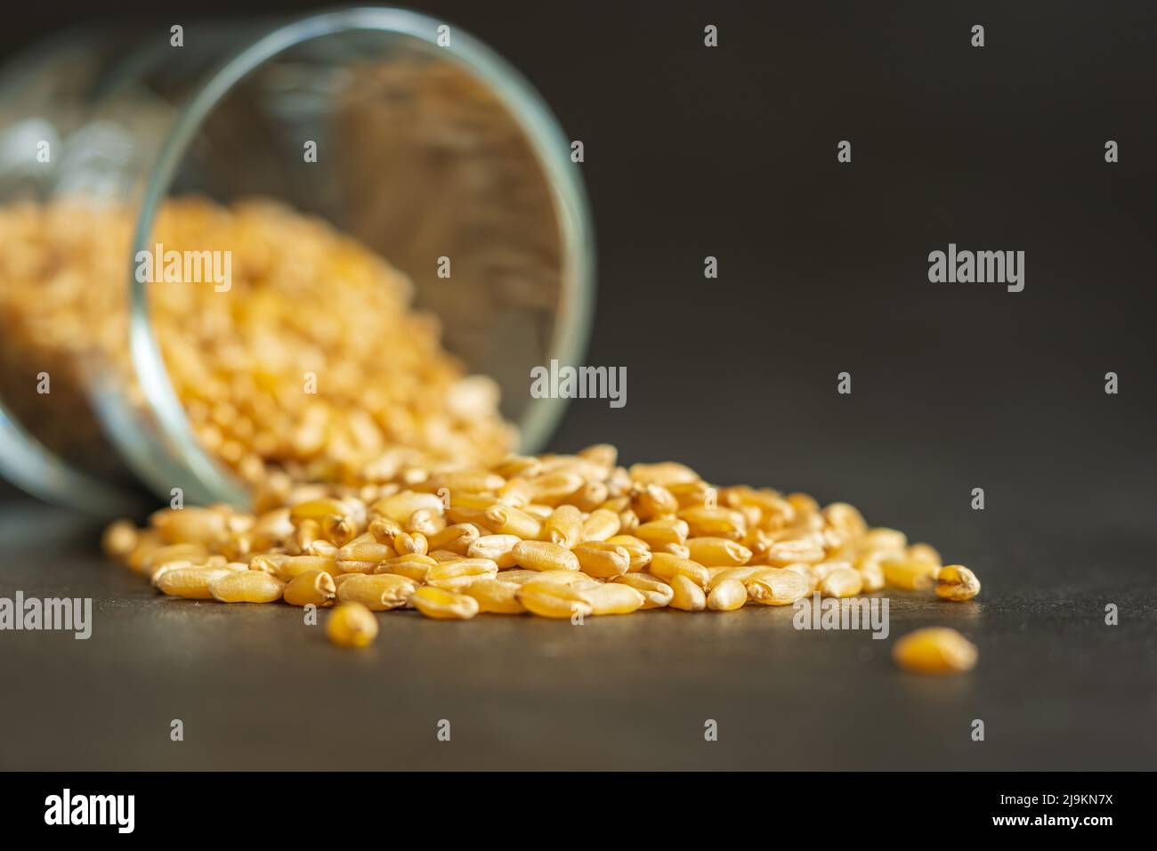 wheat grain spilled out of the glass closeup Stock Photo - Alamy