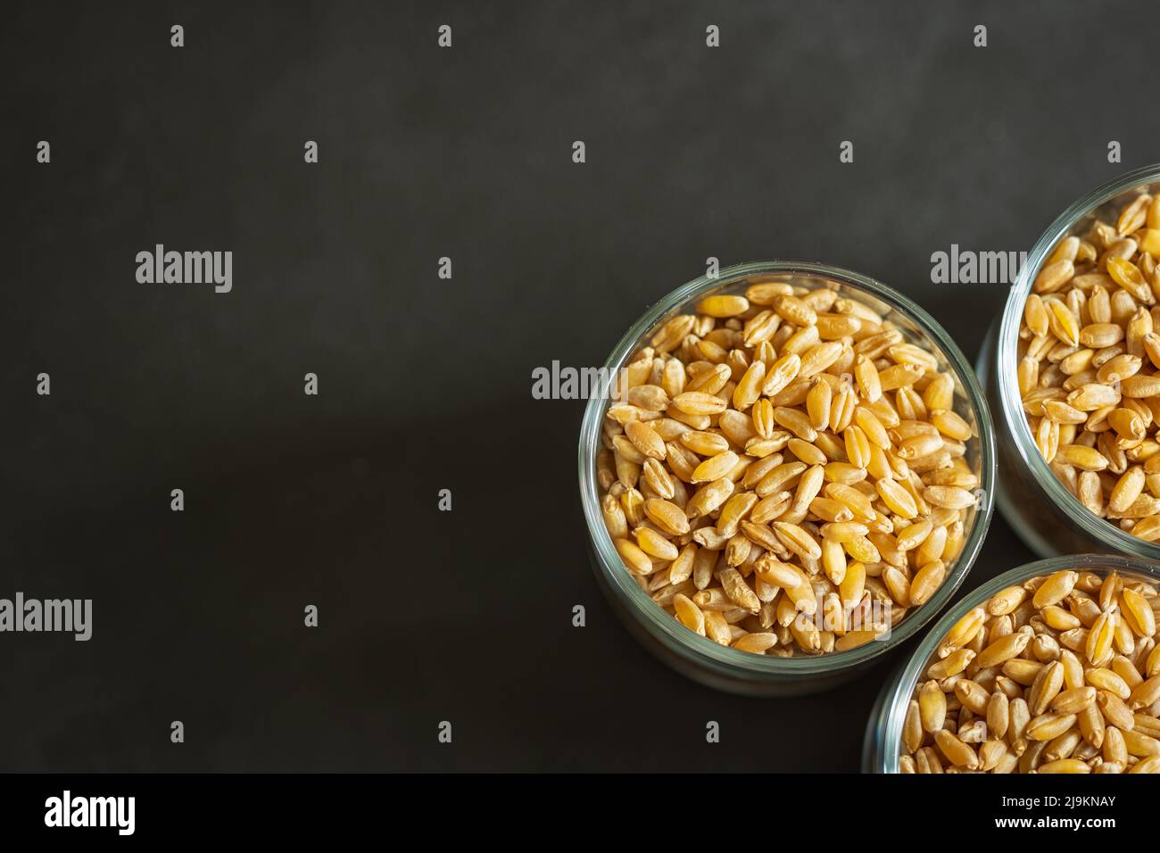 wheat grain inside glass jar storage container overhead view Stock ...