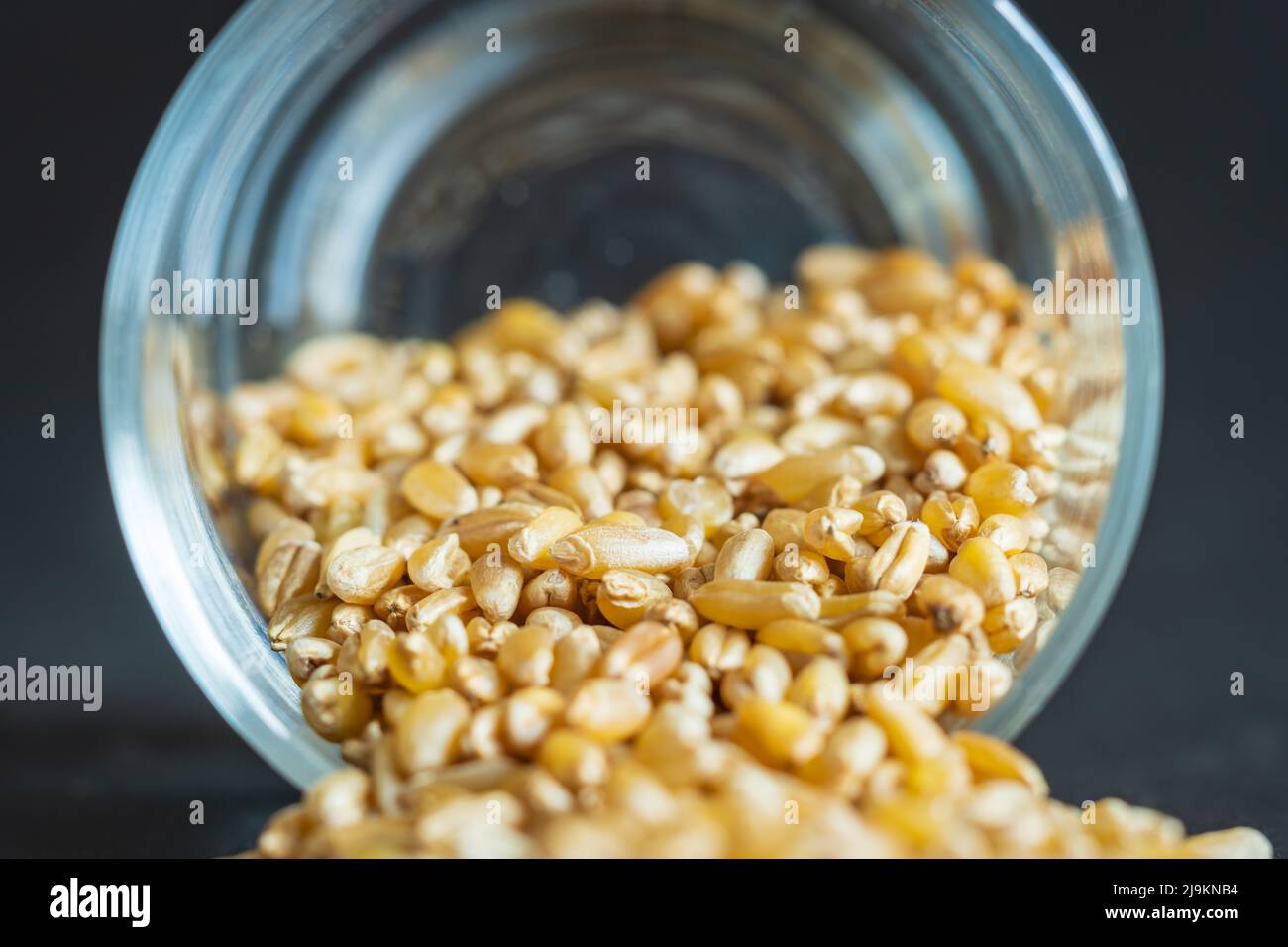 wheat grain spilled out of the glass closeup Stock Photo - Alamy