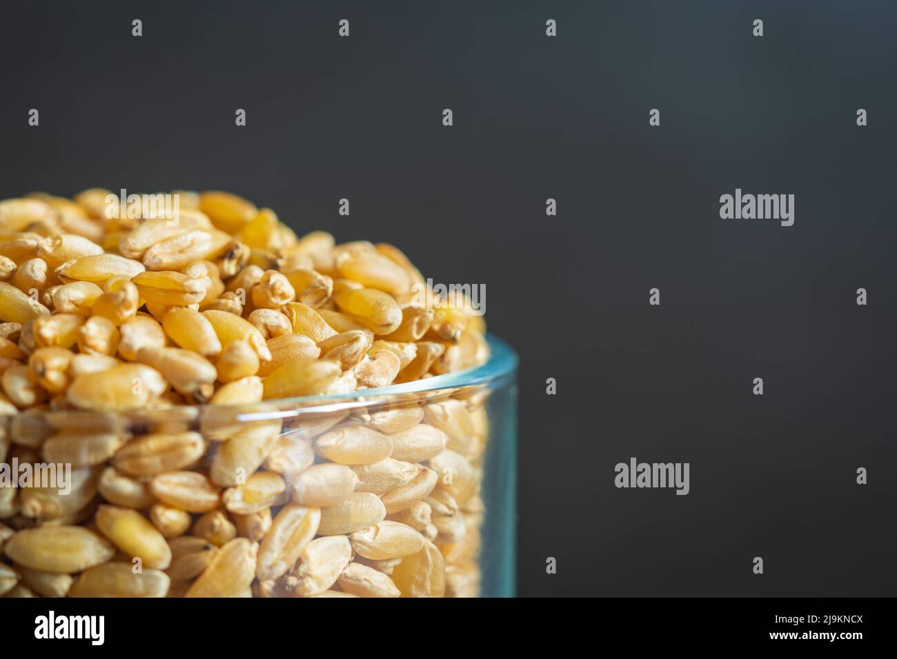 wheat grain inside glass jar storage container closeup Stock Photo - Alamy