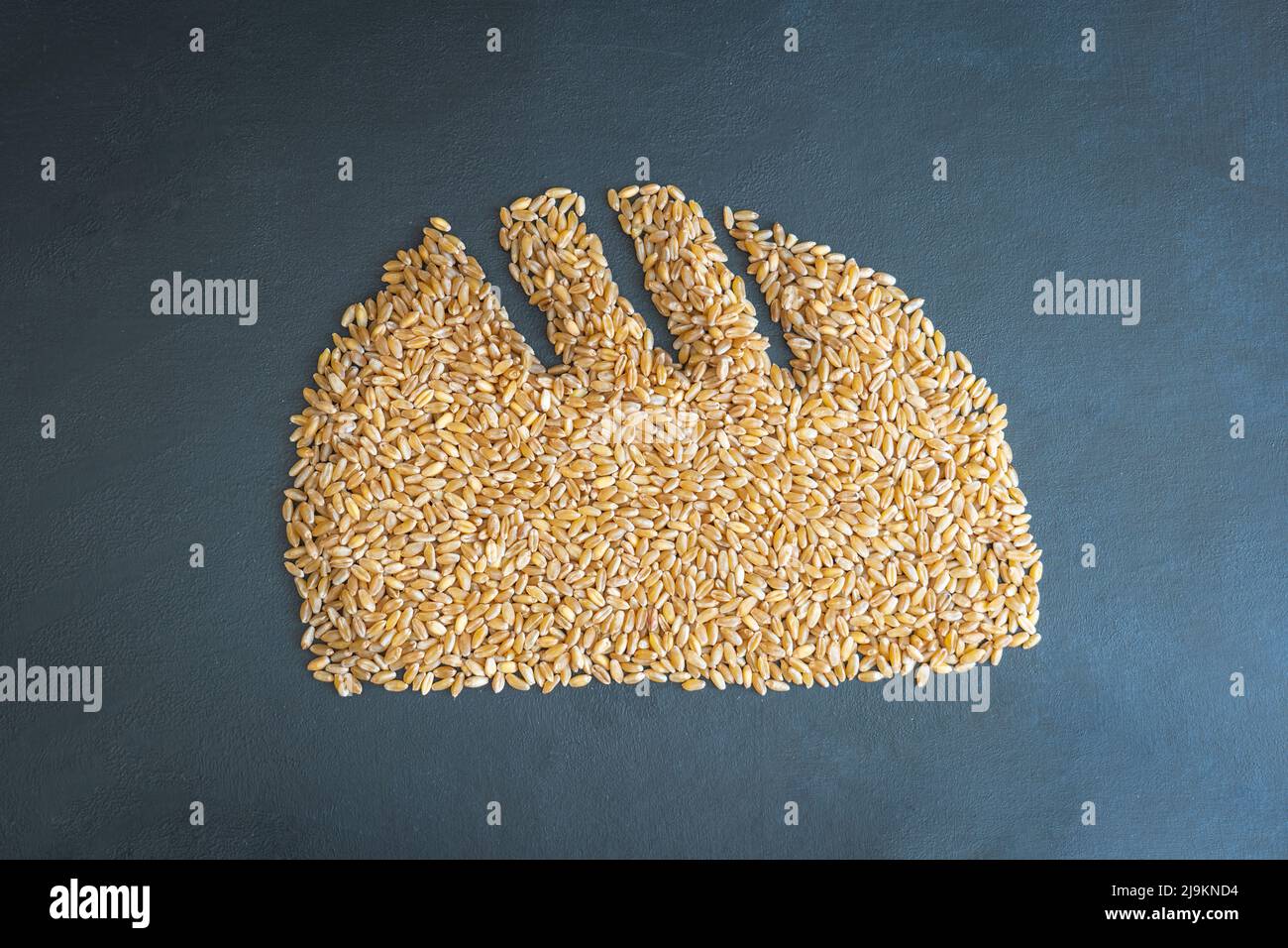 wheat grain bread loaf shape concept flat overhead view Stock Photo - Alamy