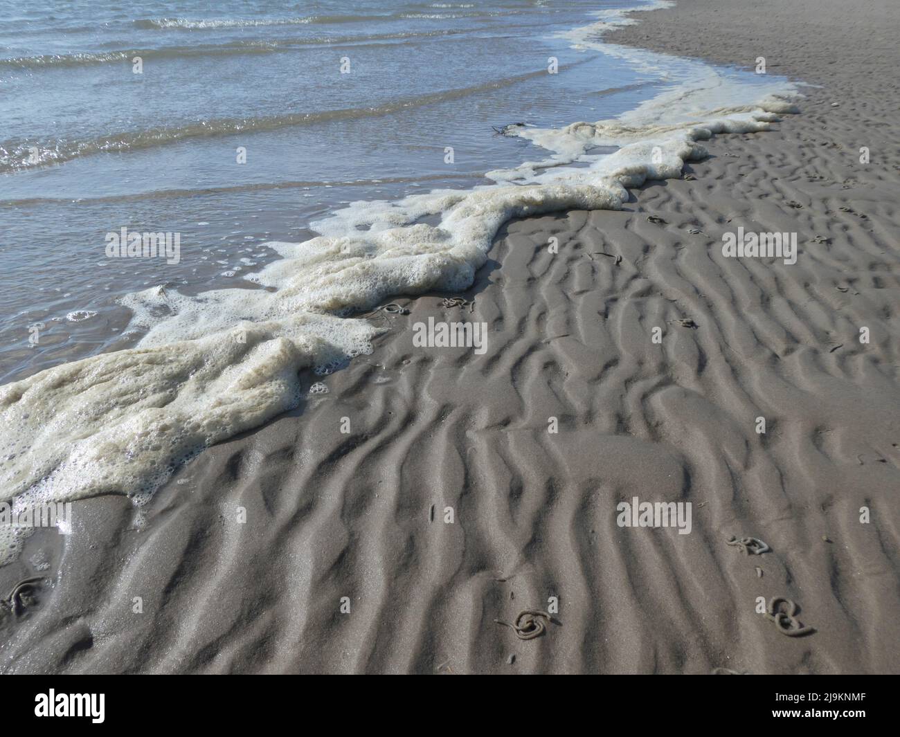 Little waves with foam on the beach during low tide Stock Photo - Alamy