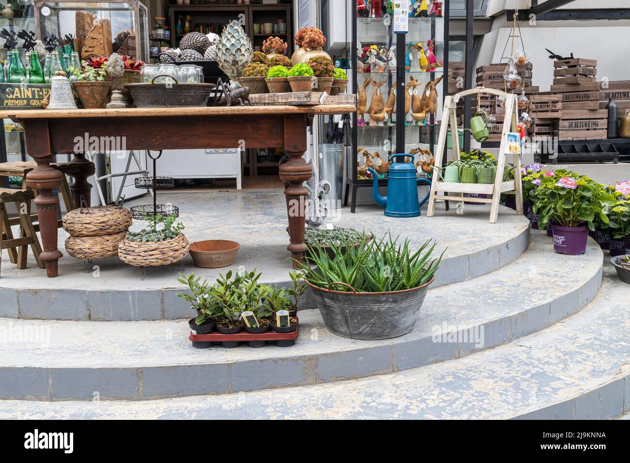 Moscow, Russia - May 2022, Botanical garden flower shop decoration ...