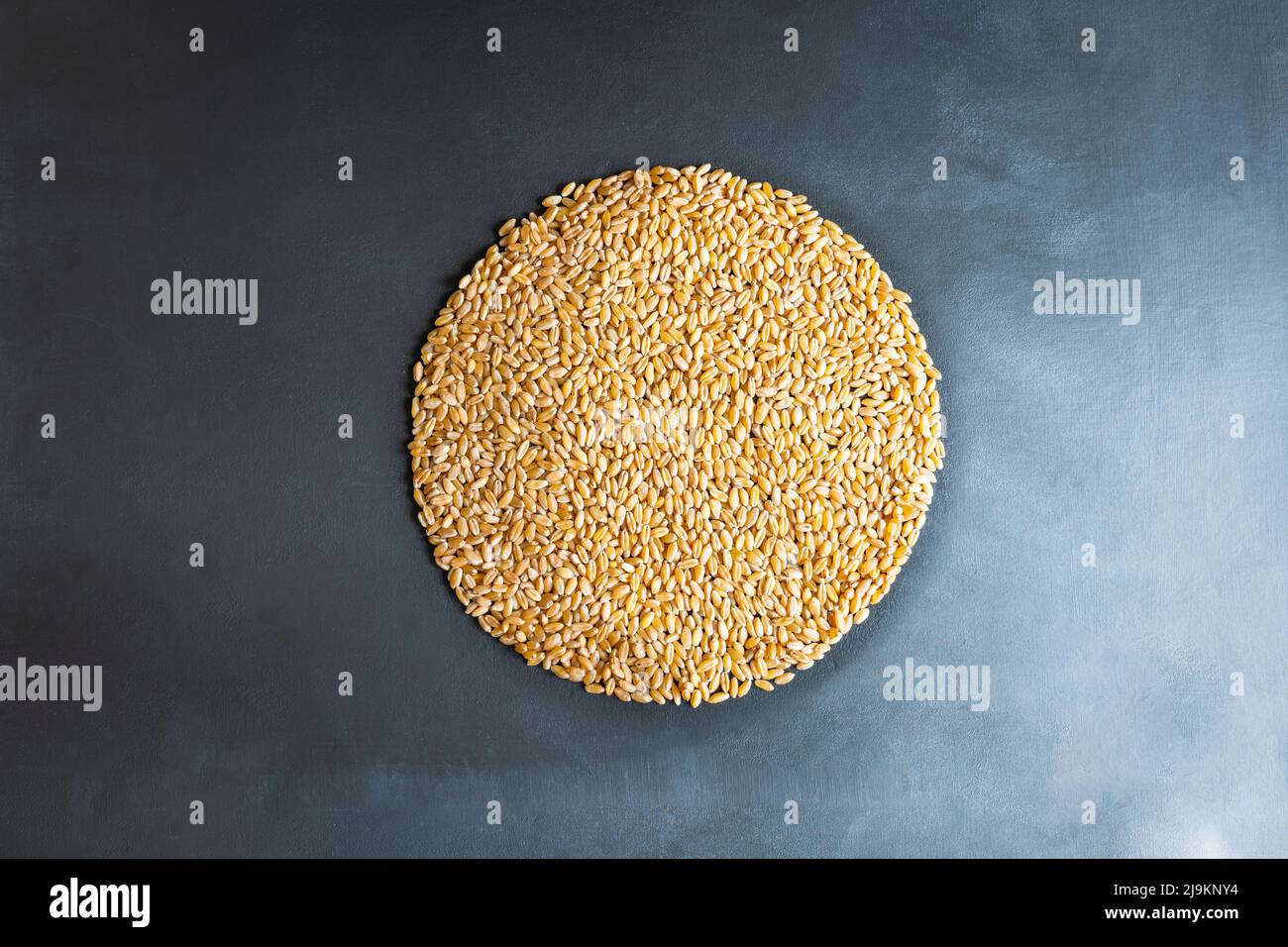 wheat grain chart pie shape concept flat overhead view Stock Photo - Alamy