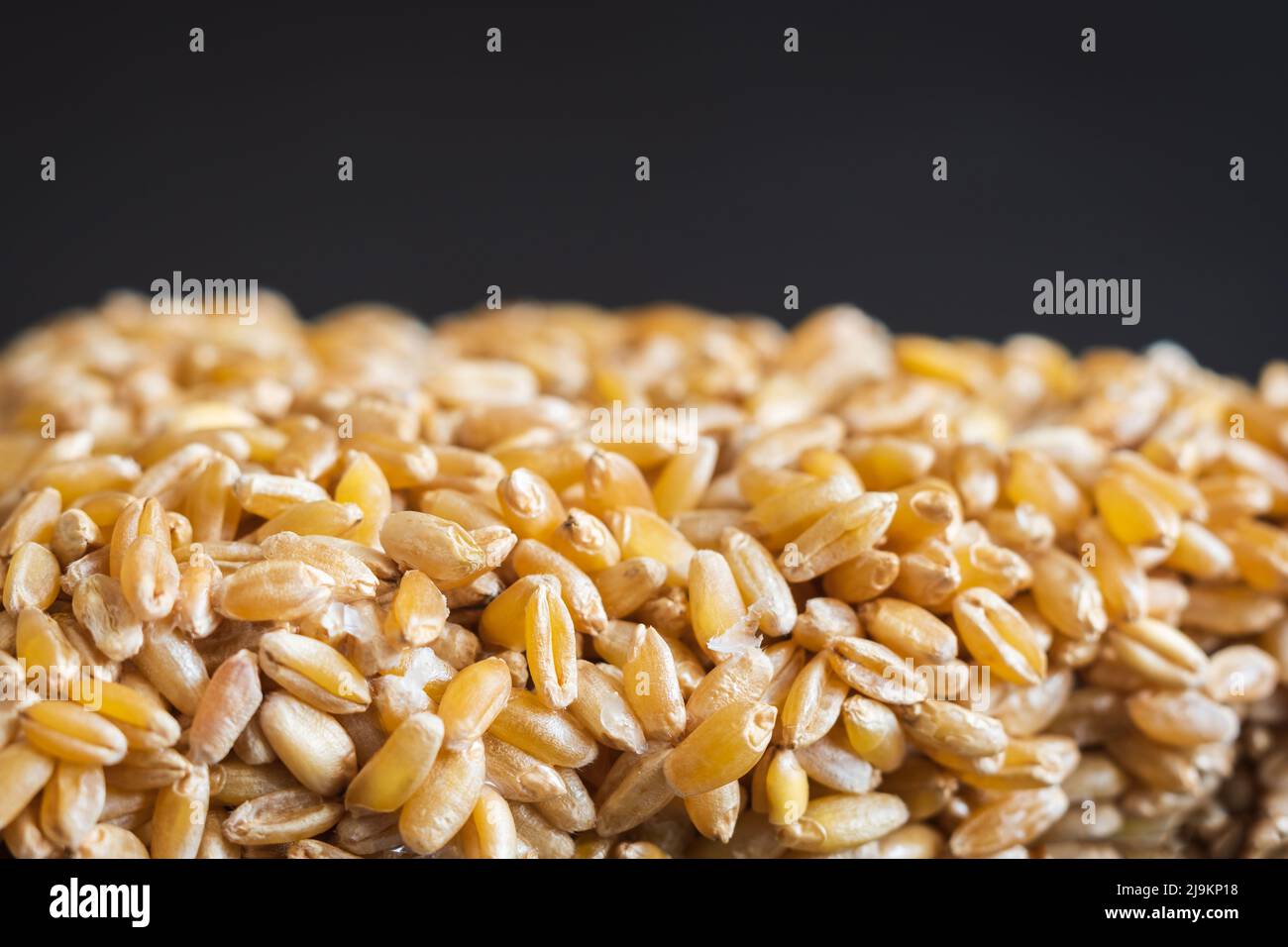 wheat grain bar closeup over dark background Stock Photo - Alamy
