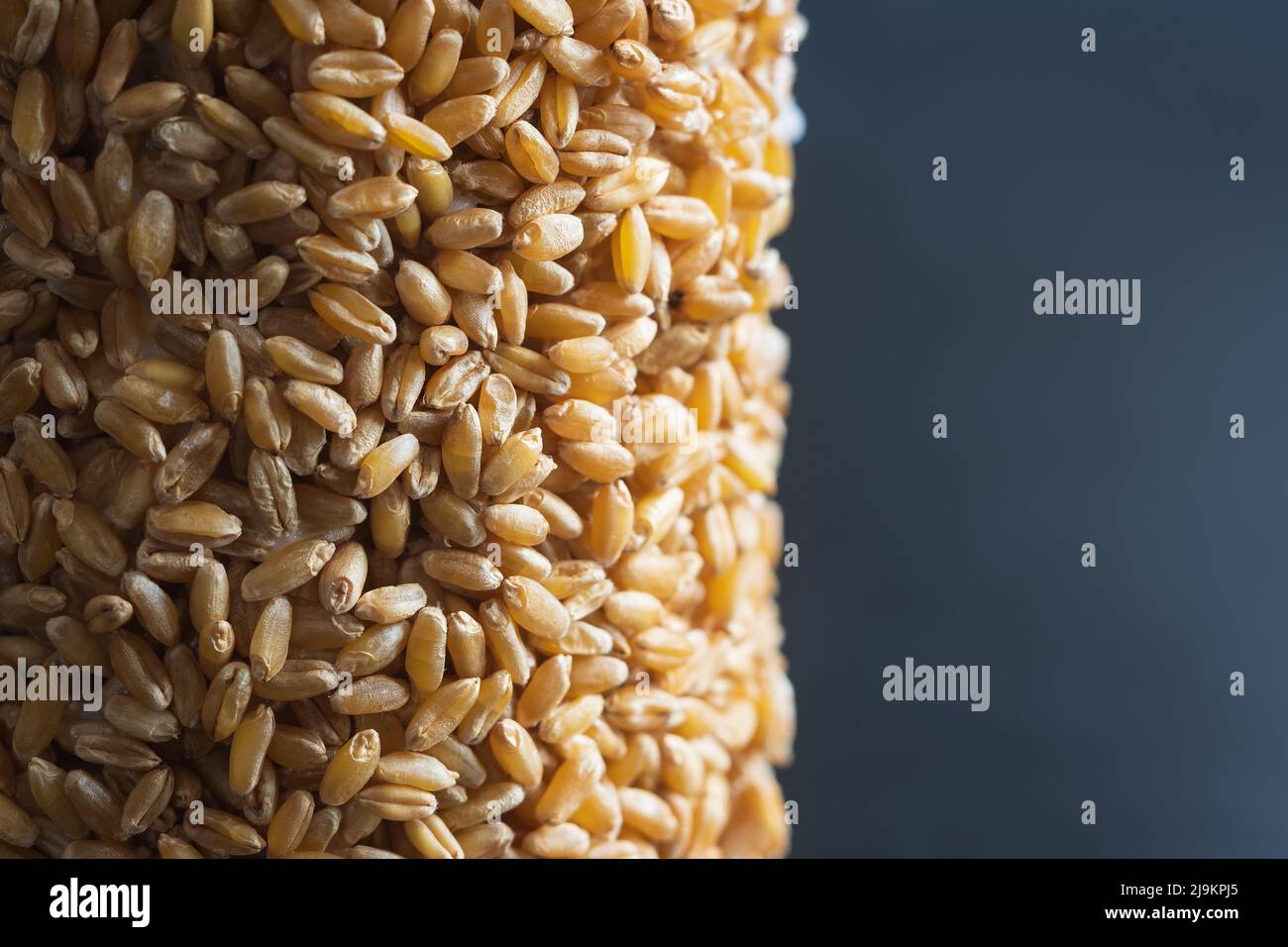 wheat grain bar closeup over dark background Stock Photo - Alamy