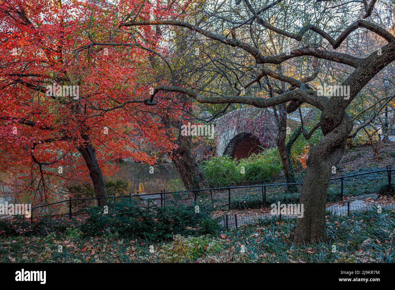 Gapstow Bridge in Central Park in late sutumn with colorful trees ...
