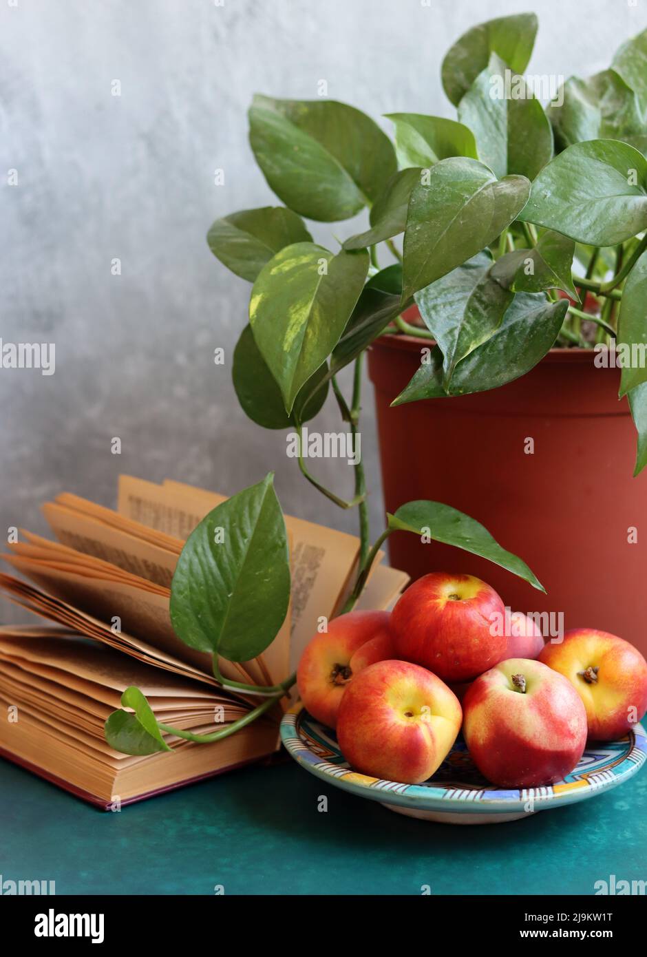 Still life with fresh organic fruit. Close up photo of nectarines and ...