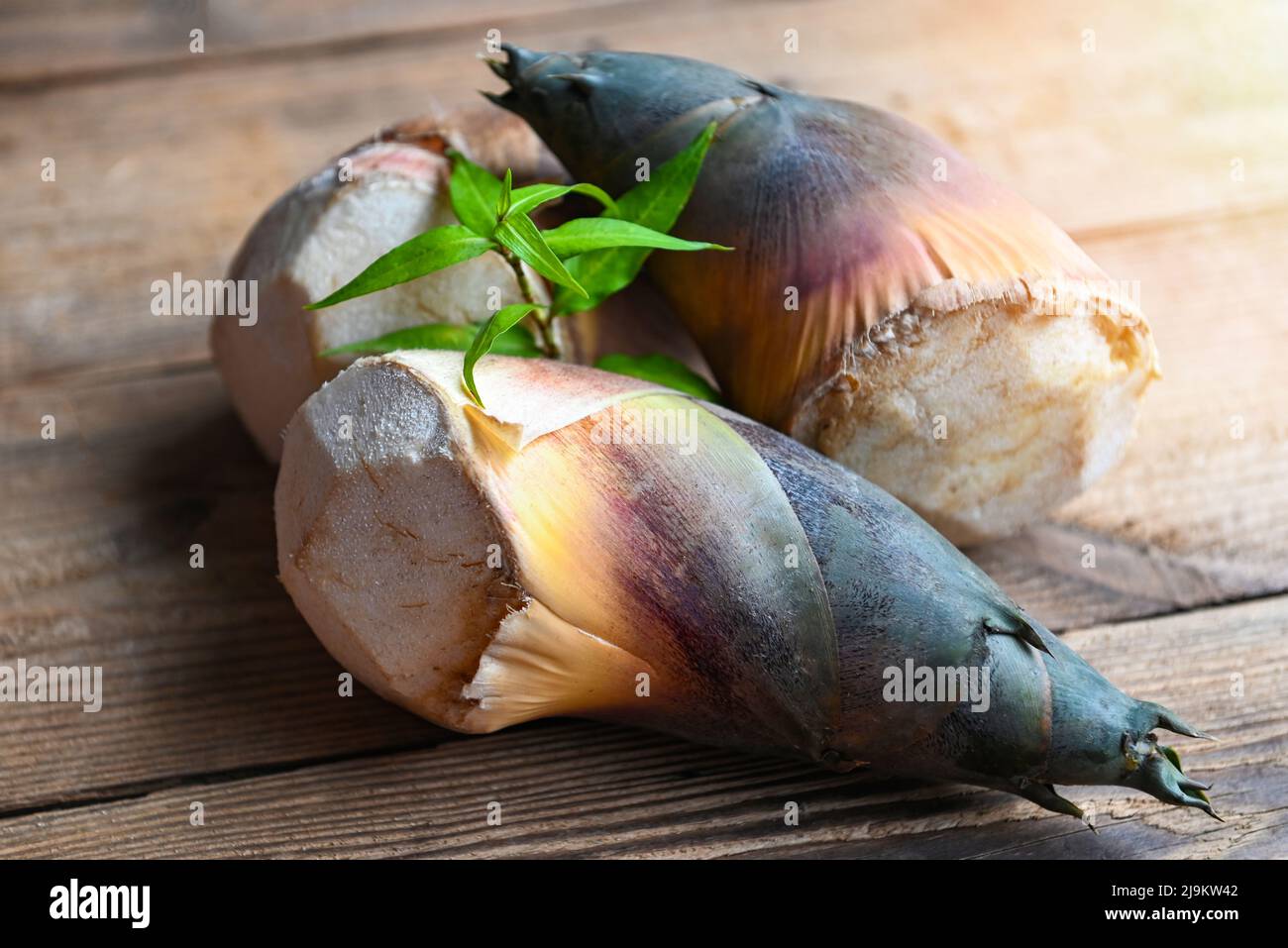 Fresh raw bamboo shoot for cooking food in thailand, Bamboo shoots with ...