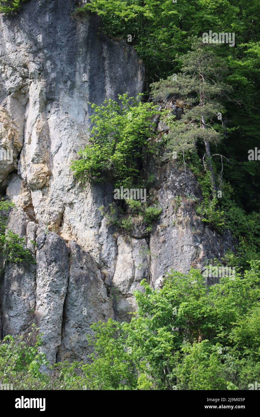 Dolomite rocks in a rocky Area Stock Photo - Alamy