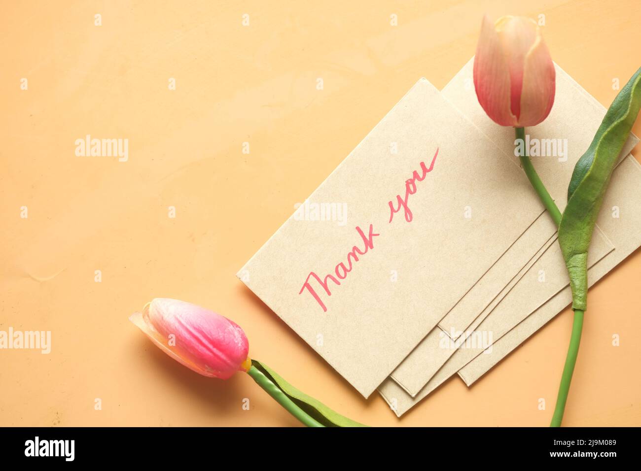 thank you message on sticky note with tulip flower on orange background ...