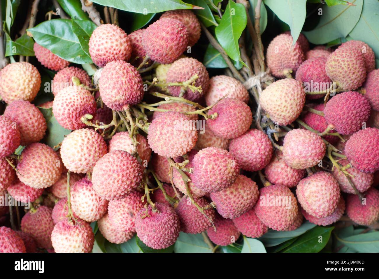 Fresh lychee display sale hi-res stock photography and images - Alamy