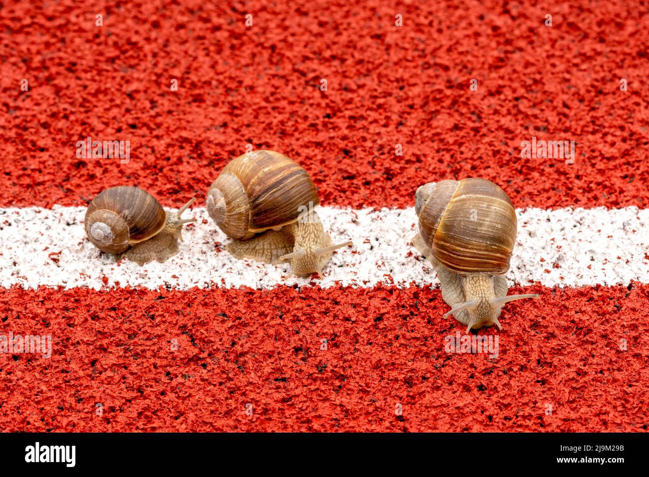 Family stadium food hi-res stock photography and images - Alamy