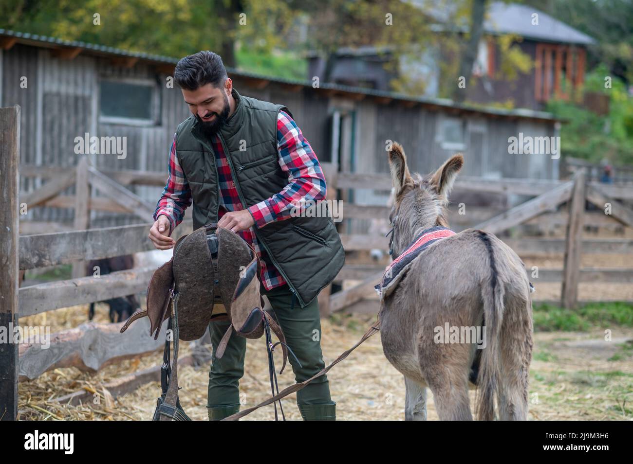 Working the cattle hi-res stock photography and images - Alamy