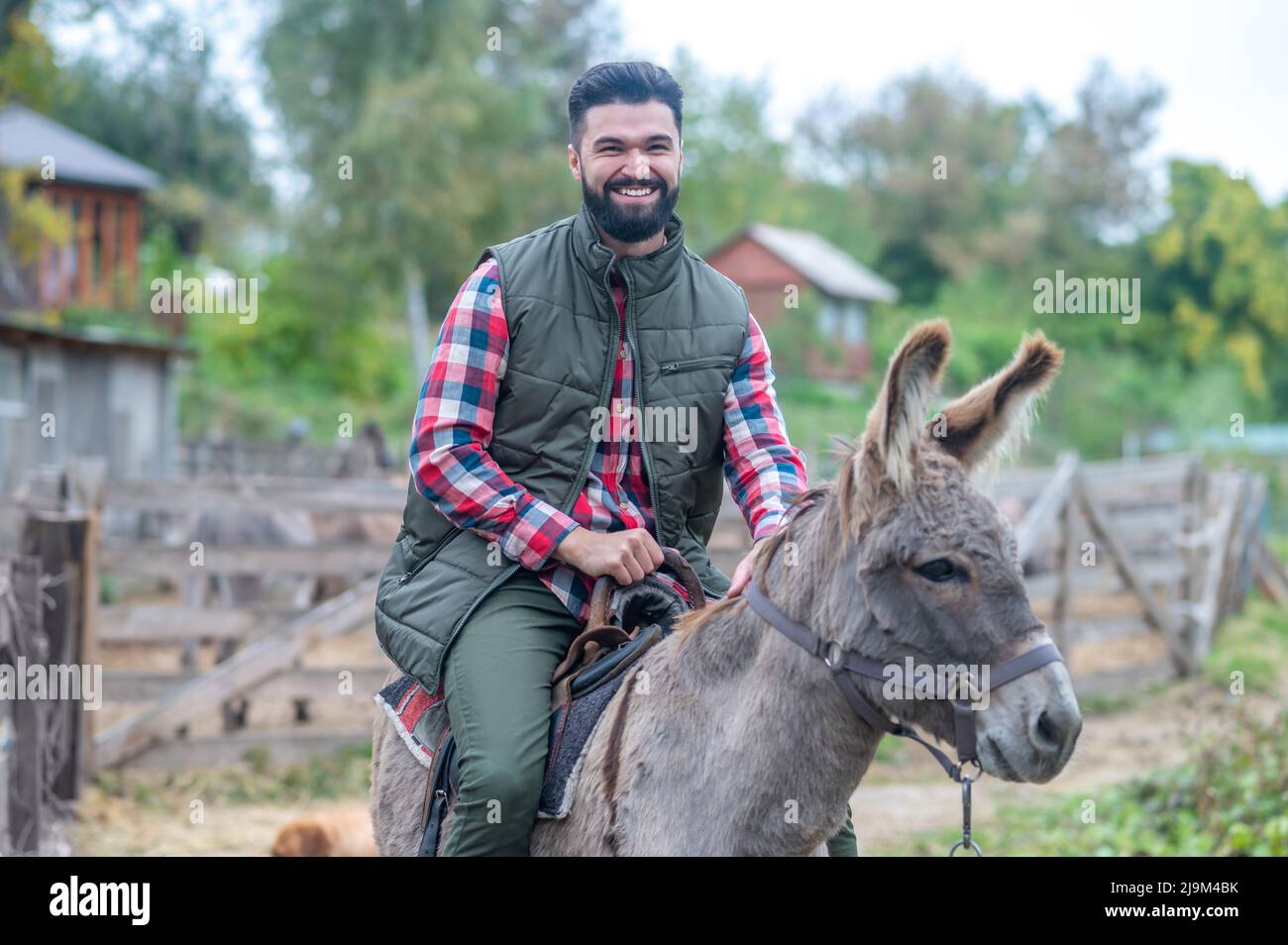 A farmer sitting on a donkey on a farm Stock Photo - Alamy