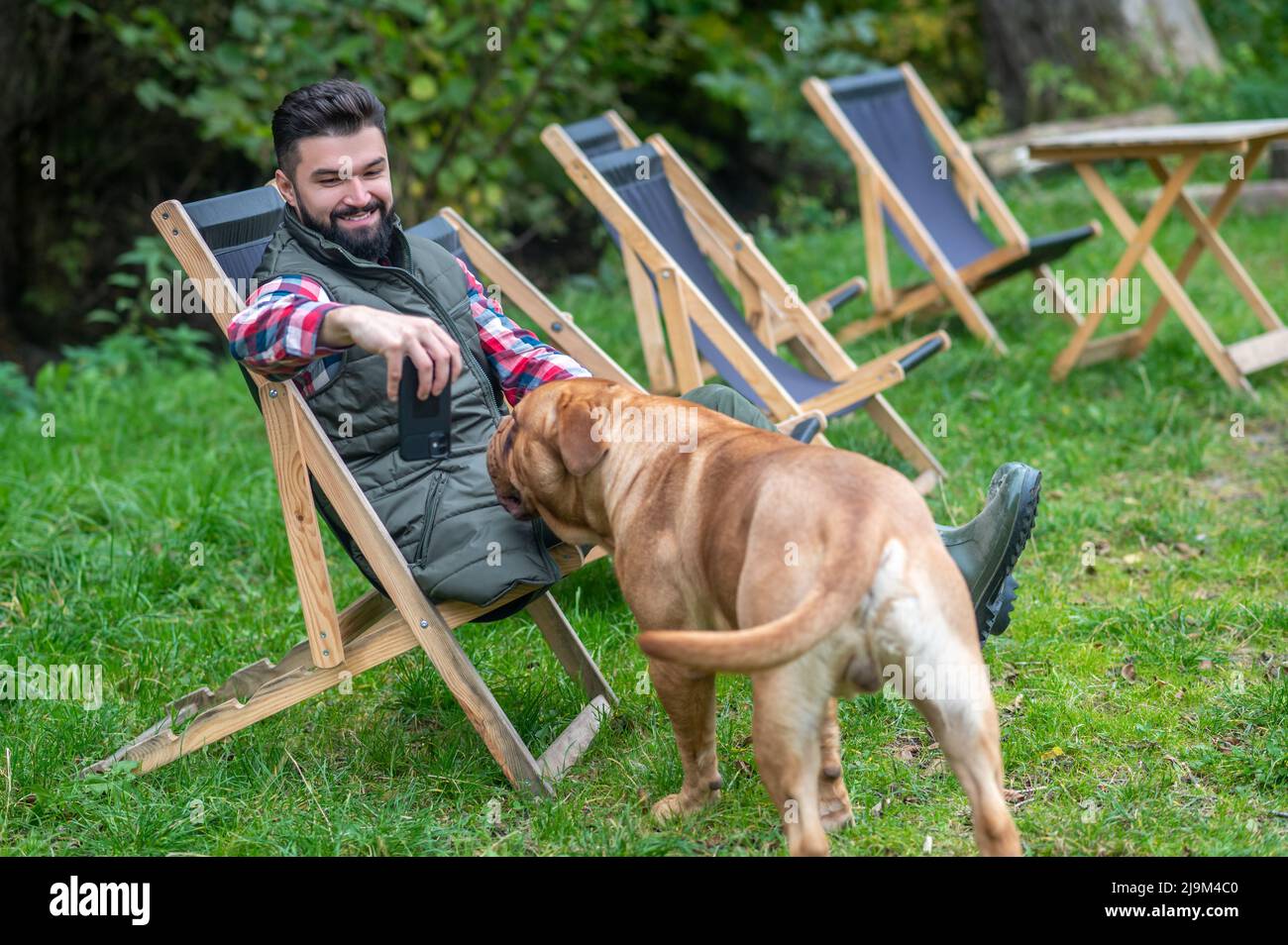 A dark-haired young man with a sharpei dog in the yard Stock Photo - Alamy