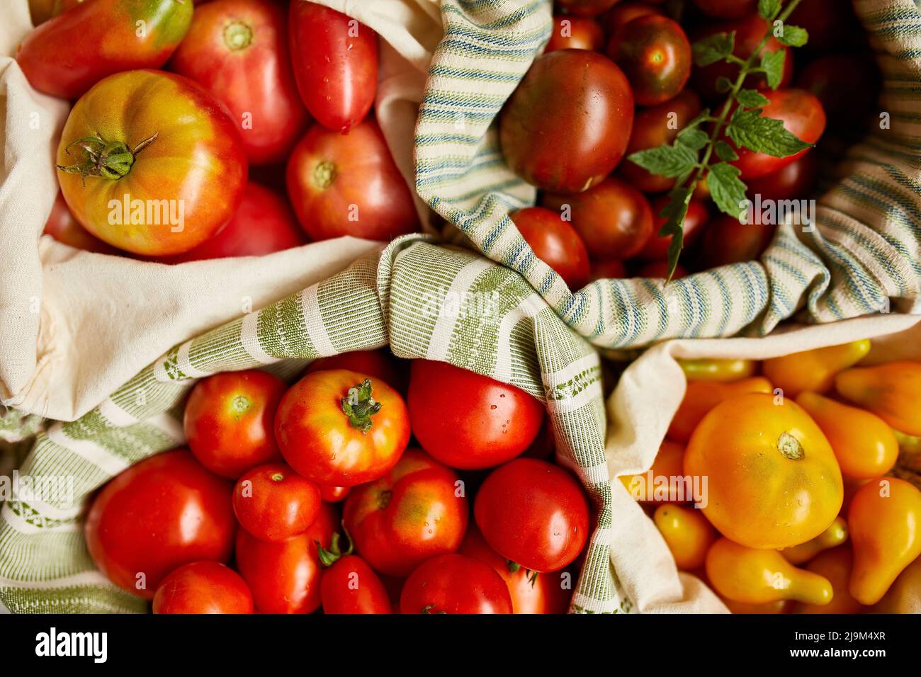 Market delivary of Different kinds of tomatoes in eco textile bag, Zero ...