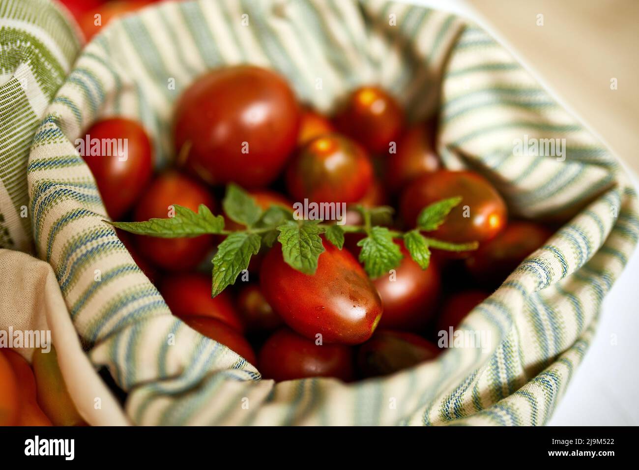 Market delivary of Different kinds of tomatoes in eco textile bag, Zero ...
