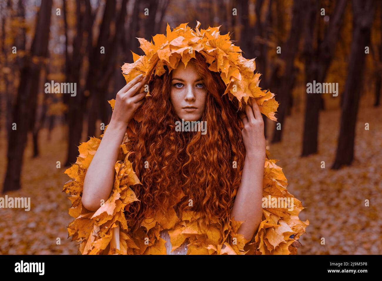 Leaf cloak hi-res stock photography and images - Alamy