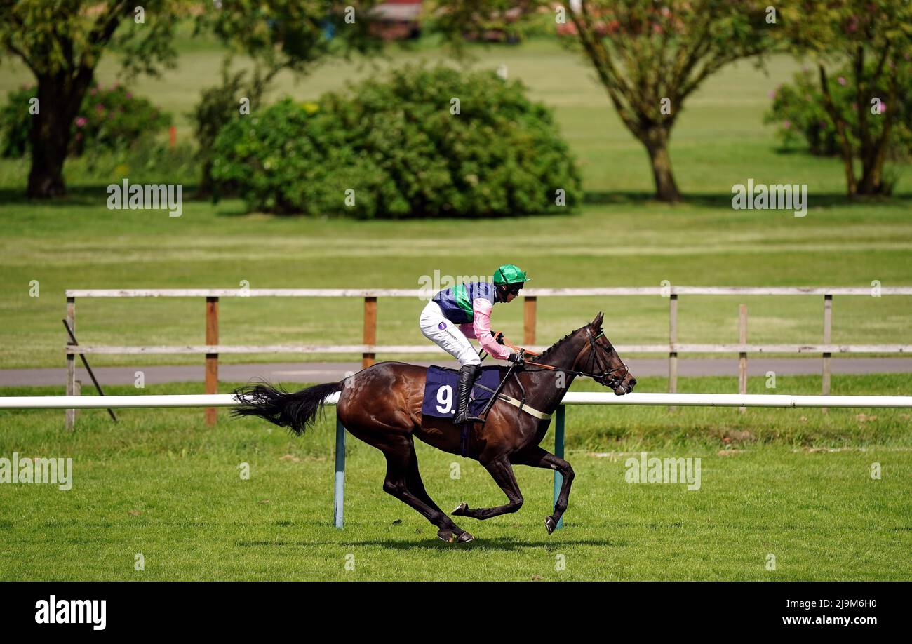 Mrs grimley horse hi-res stock photography and images - Alamy