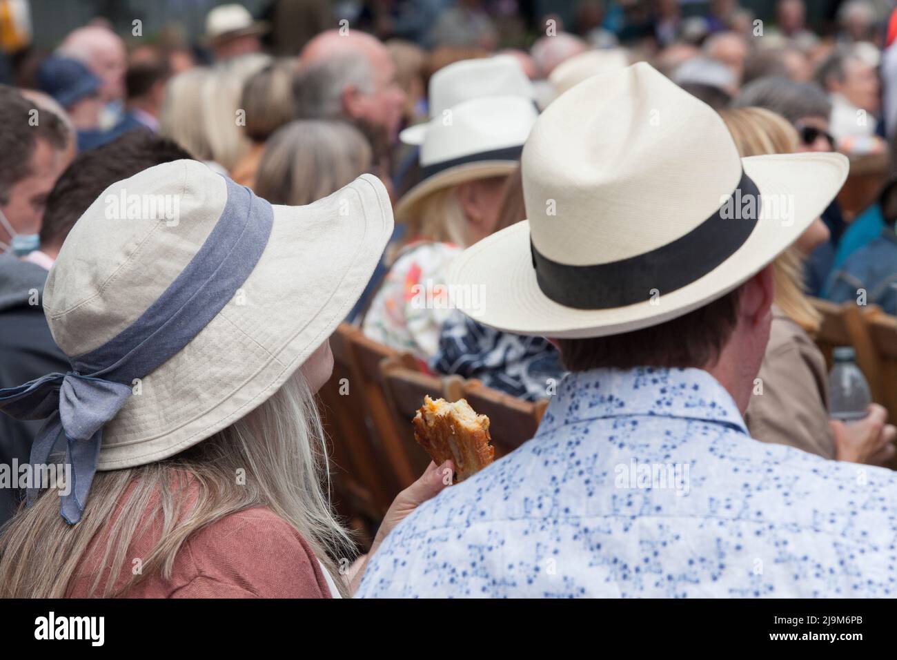 Panini flower hi-res stock photography and images - Alamy