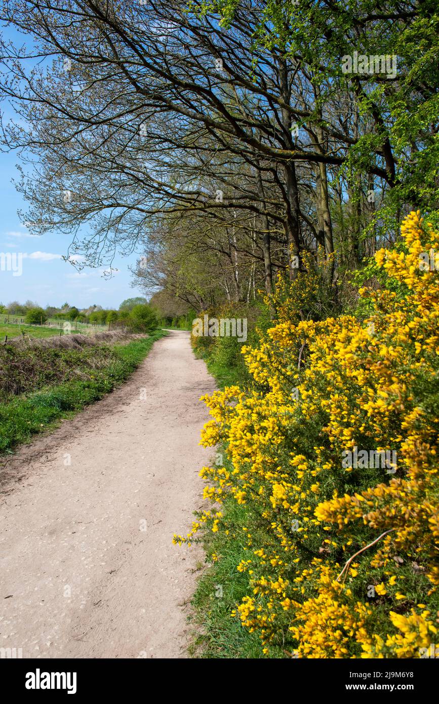 Bestwood nottinghamshire hi-res stock photography and images - Alamy