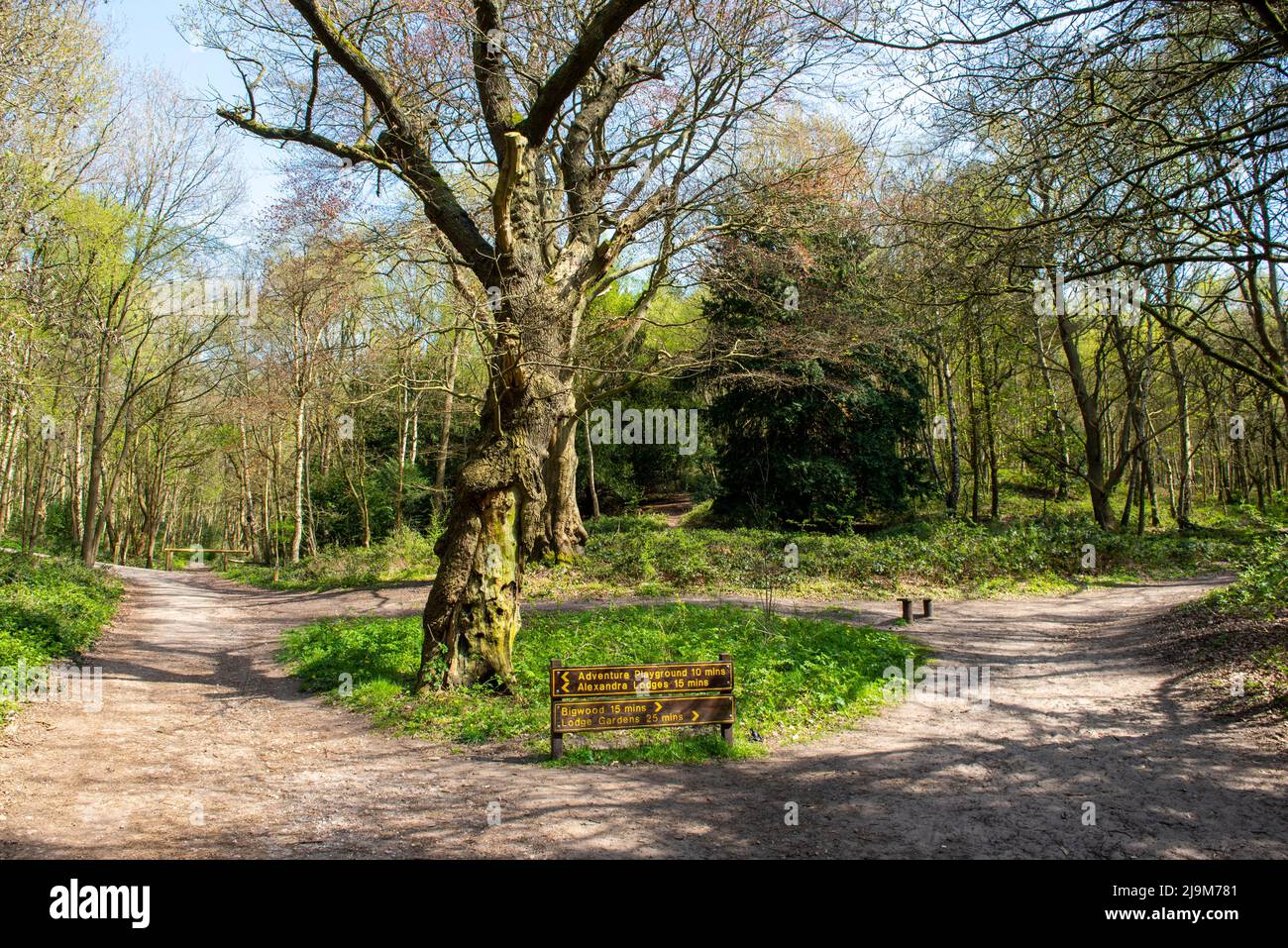 Spring at Bestwood Park in Nottingham, Nottinghamshire England UK Stock ...