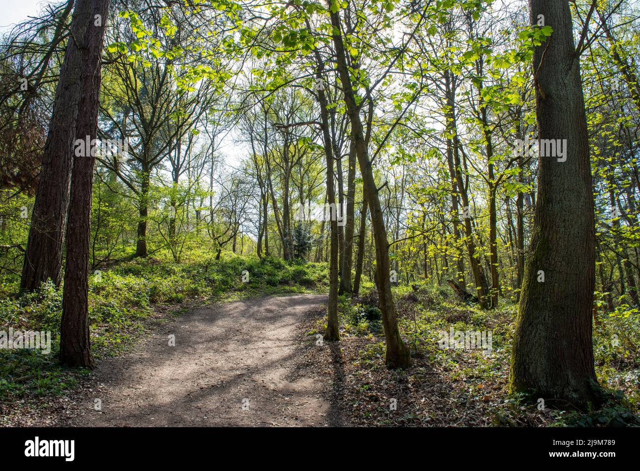 Spring at Bestwood Park in Nottingham, Nottinghamshire England UK Stock ...