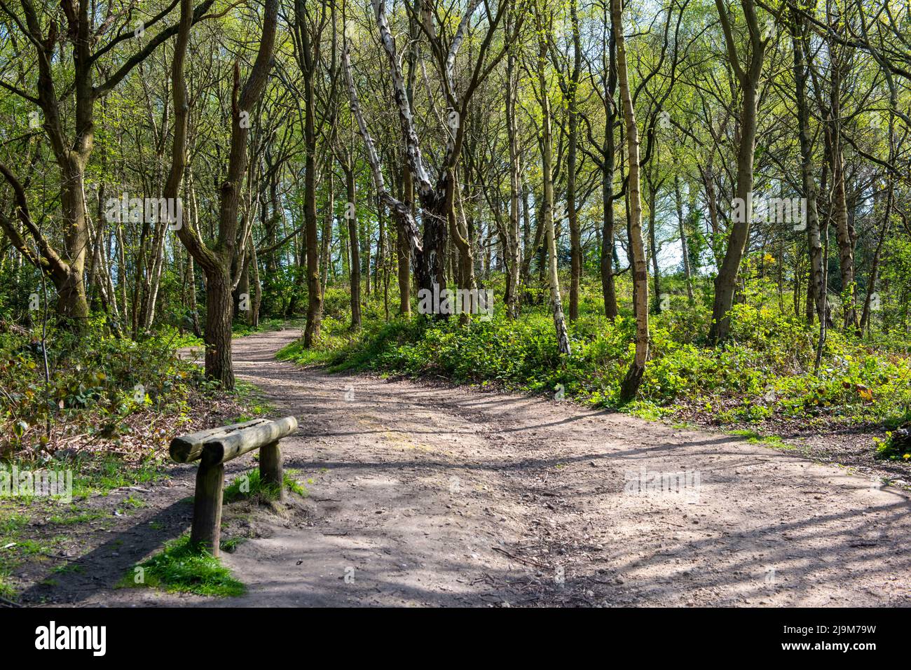 Spring at Bestwood Park in Nottingham, Nottinghamshire England UK Stock ...