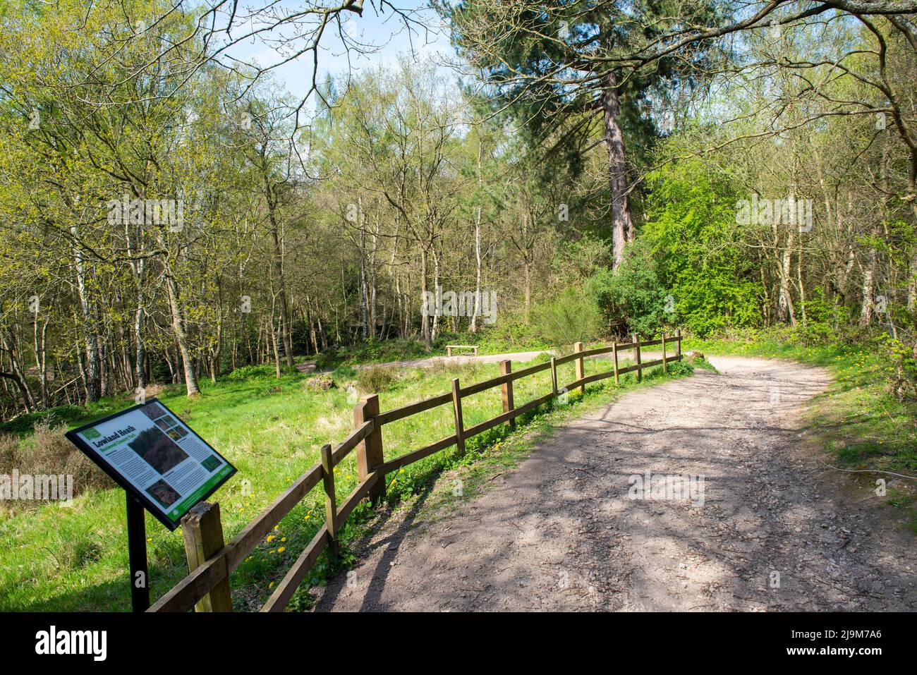 Heathland at Bestwood Country Park in Nottingham, Nottinghamshire ...