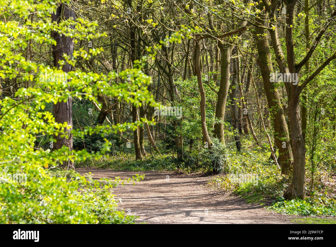 Spring at Bestwood Park in Nottingham, Nottinghamshire England UK Stock ...
