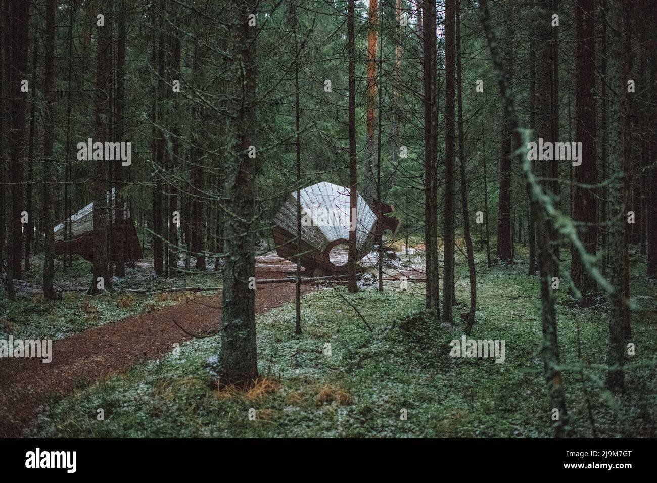 Gigantic wooden megaphones amplify the sounds of the forest in Pähni ...