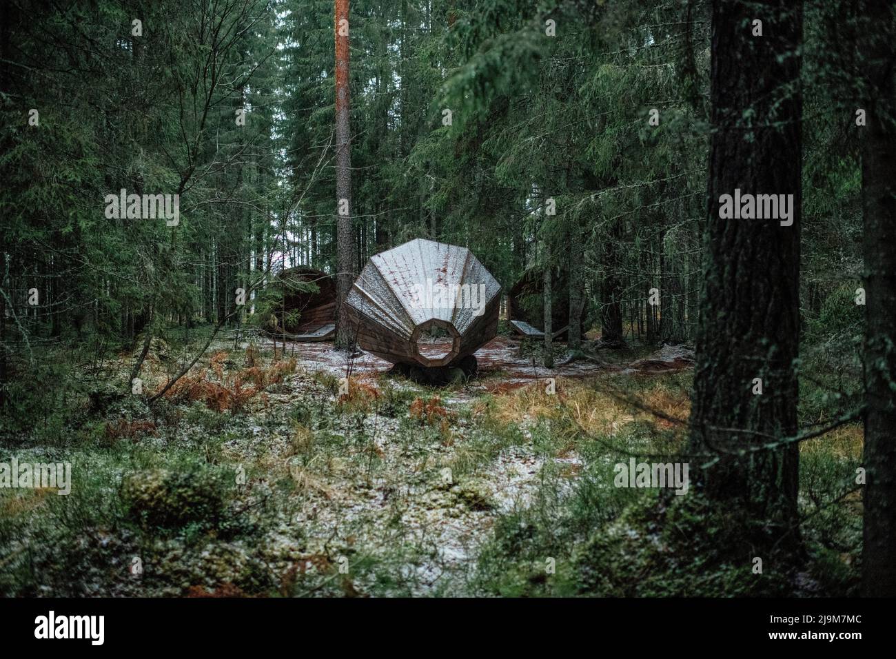 Gigantic wooden megaphones amplify the sounds of the forest in Pähni ...
