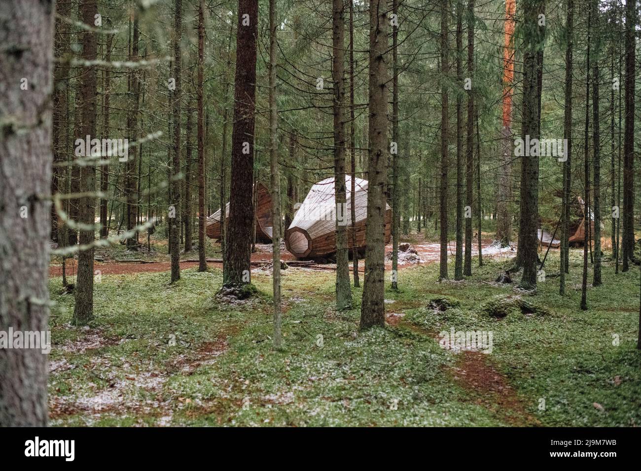 Gigantic wooden megaphones amplify the sounds of the forest in Pähni ...